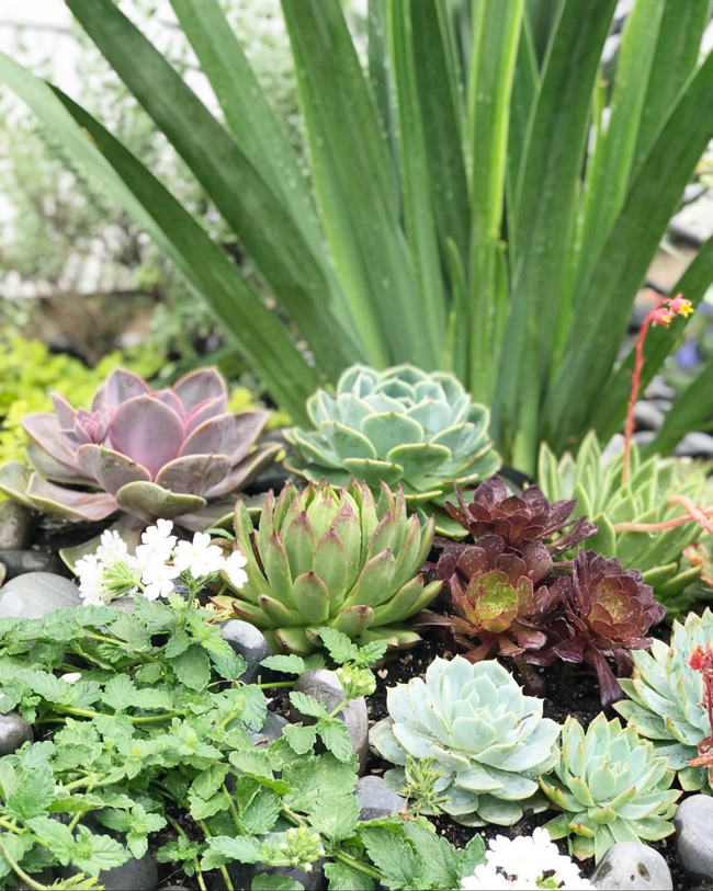 COVER STORY: Gracious Greenery – OutSmart Magazine